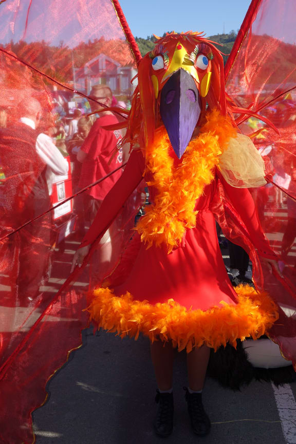 Nelson Arts Festival | A Gallery from News | RNZ