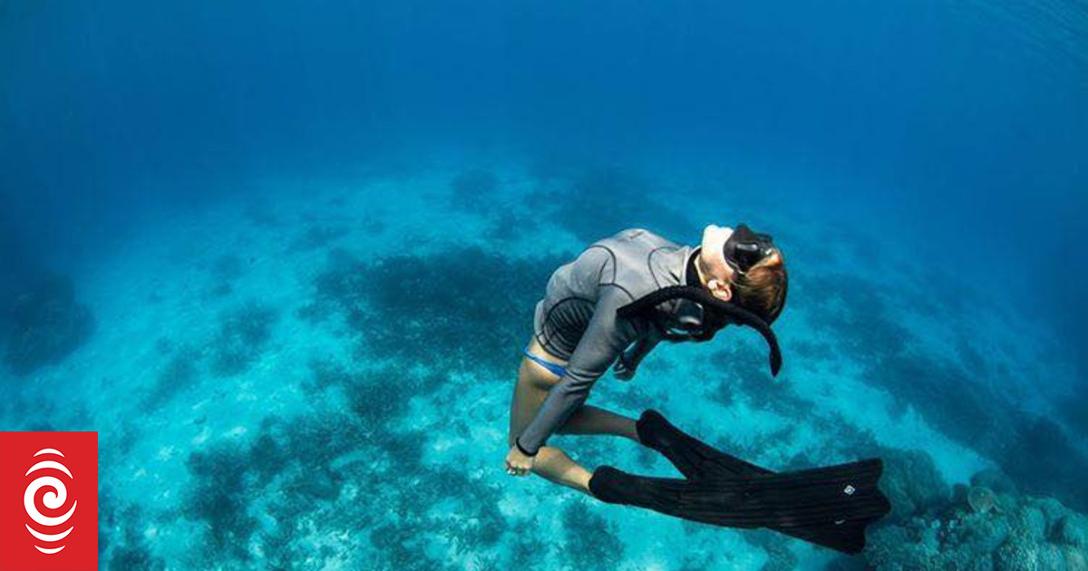 The incredible art of freediving | RNZ