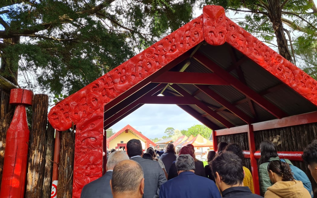 Crown intent on absorbing kura kaupapa into mainstream system, Waitangi ...