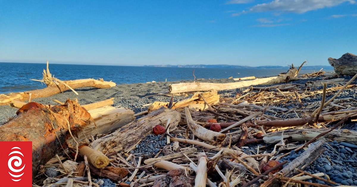 Inquiry into forestry slash announced | RNZ News