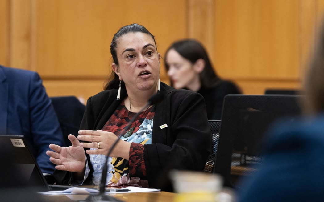 Ministerial Grillapalooza: Photos from Parliament’s Estimates Hearings ...