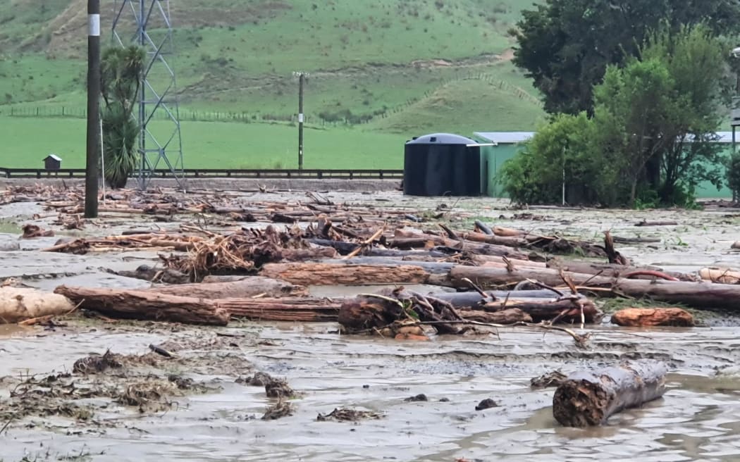 Tolaga Bay farmer seething as forestry slash causes floodwaters to ...