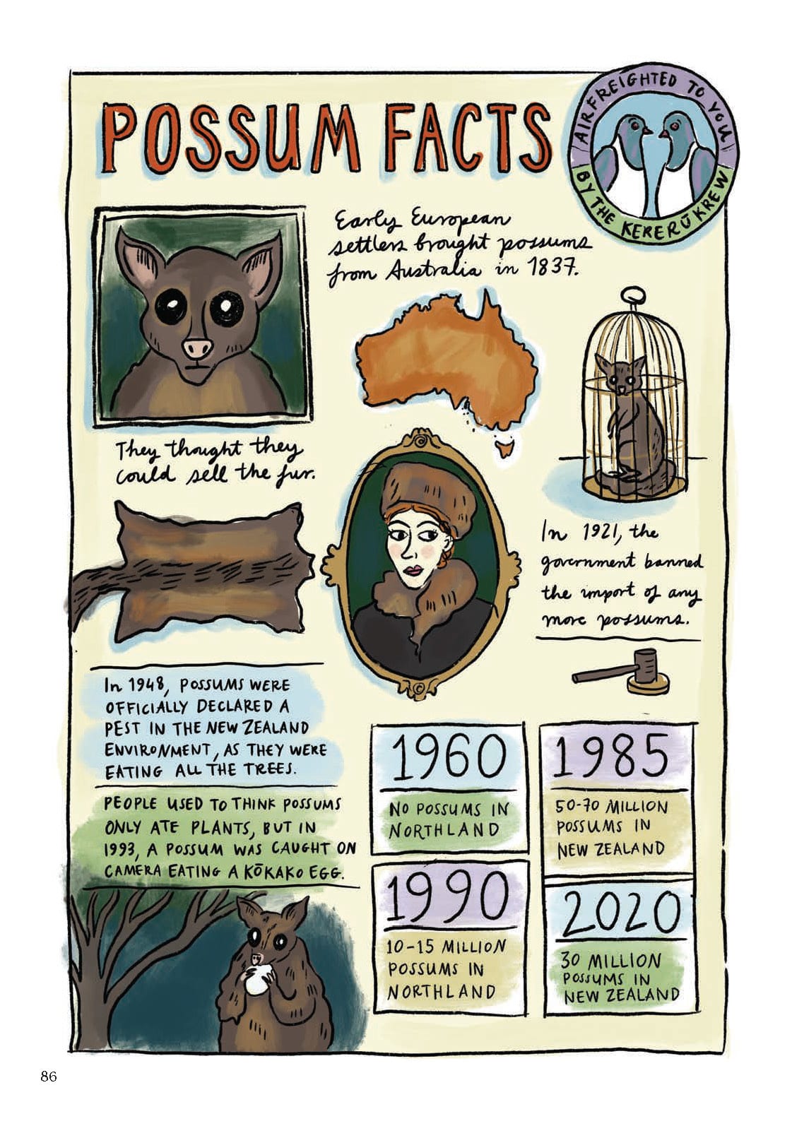 Johanna Emeney and Sarah Laing: picturing Auckland’s famous bird lady | RNZ