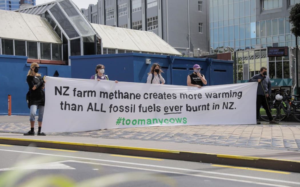 Groundswell protest: Farmers oppose emissions pricing scheme | RNZ News