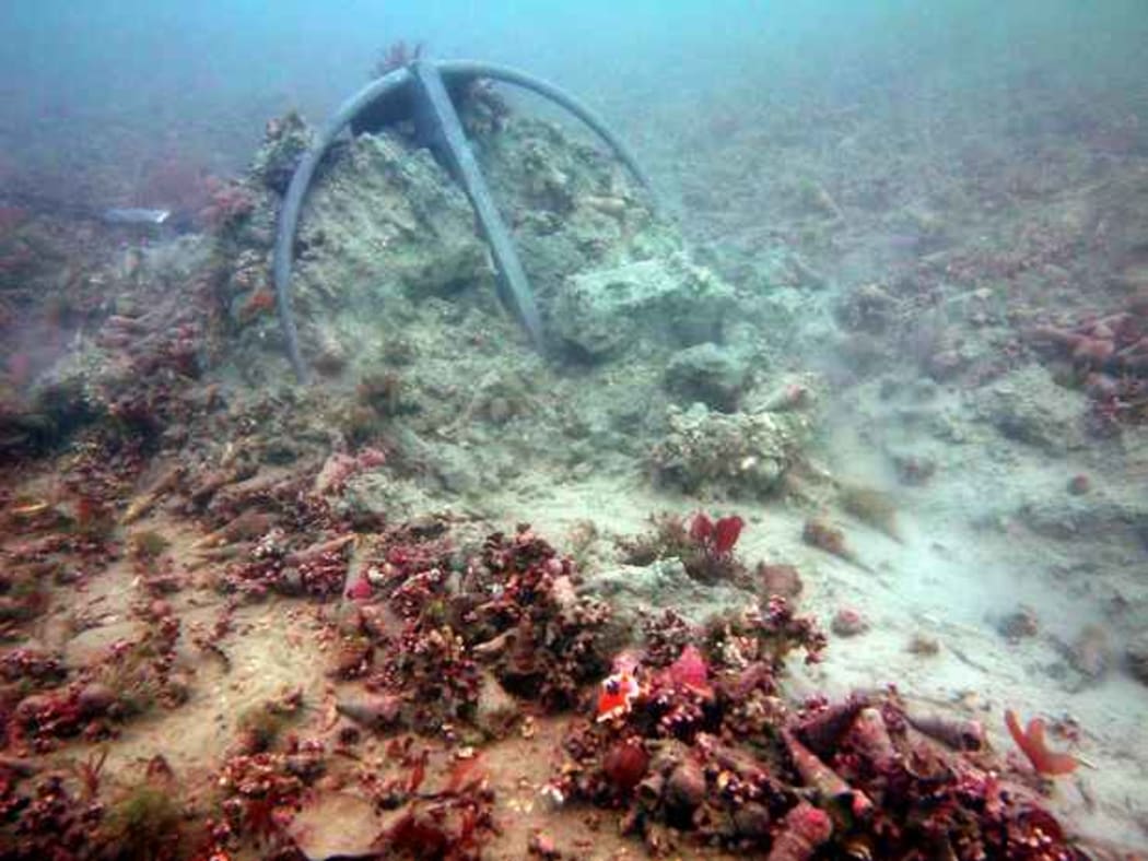 Seabed habitat 'rapidly deteriorating' | RNZ News