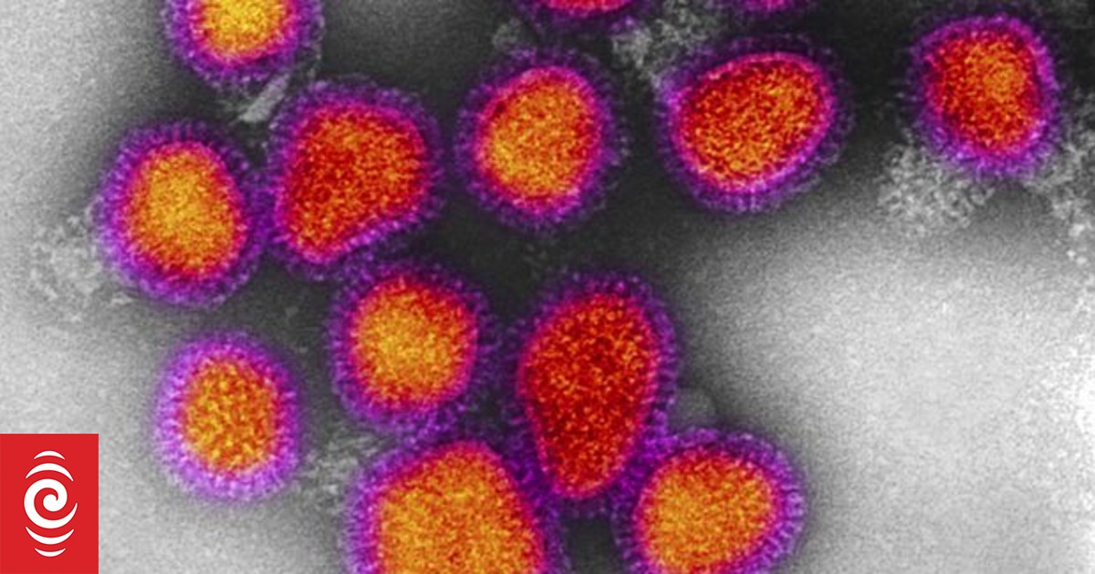New virus discovered in China could spark another pandemic | RNZ