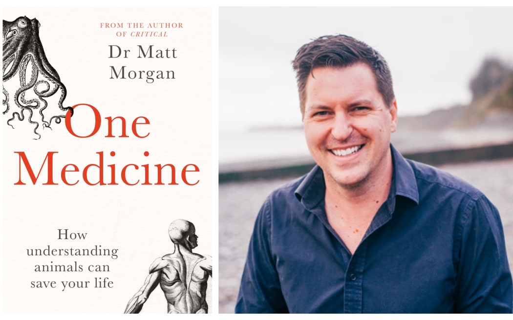 How animal science can inform human medicine | RNZ