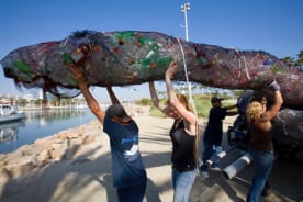 Marcus Eriksen's junk-raft | A Gallery from Afternoons | RNZ National