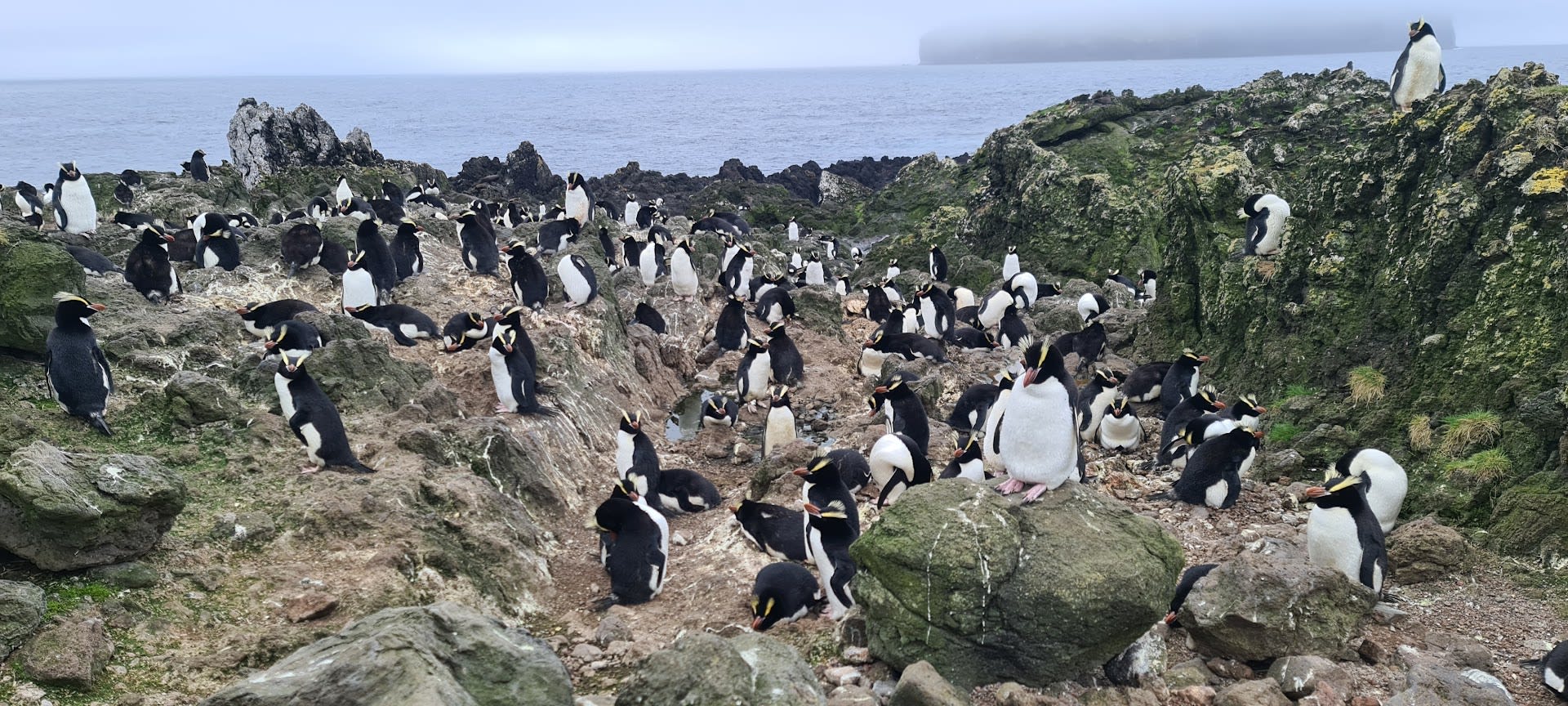 Nine To Noon for Tuesday 14 March 2023 Nine To Noon | RNZ