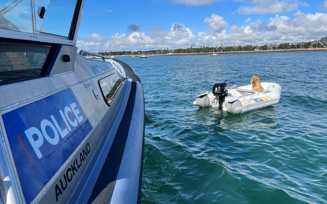 Ruff day on the water as Huxley the dog floats away | RNZ News