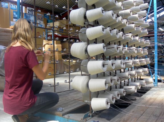 Wool Innovation | RNZ