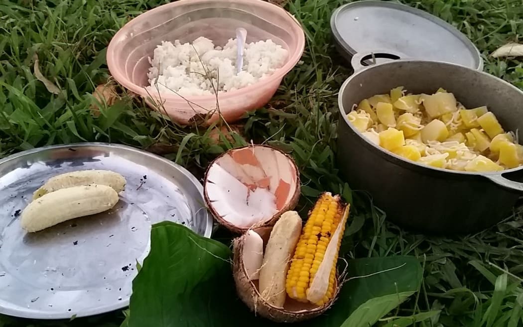 Vanuatu bans GM seeds as crops replanted | RNZ News