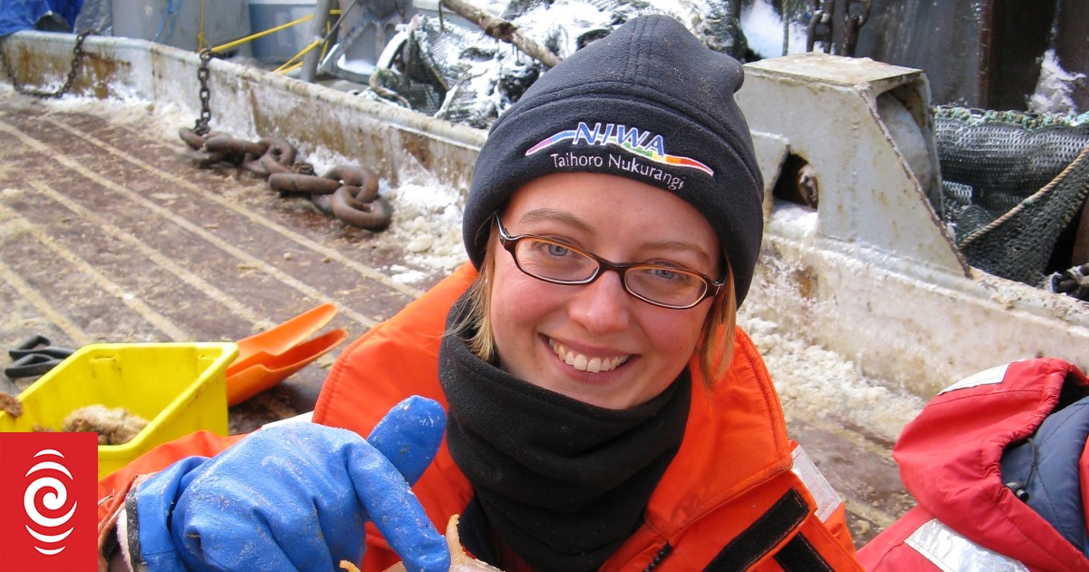 Critter of the Week: Antarctic sea pig | RNZ