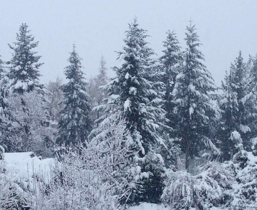 Largest snowfall in decades in south | RNZ News