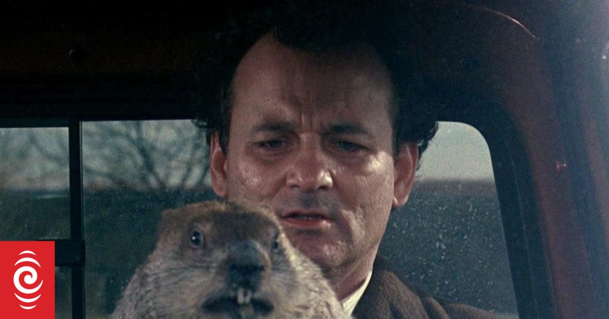 Why do we watch movies over and over? | RNZ