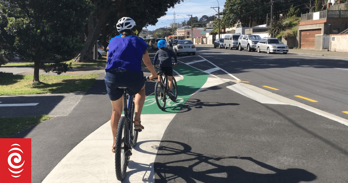 The Pre-Panel with Heather Roy and Guy Williams | RNZ