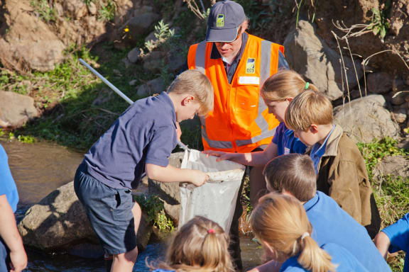 Nature Agents | A Gallery from Afternoons | RNZ National