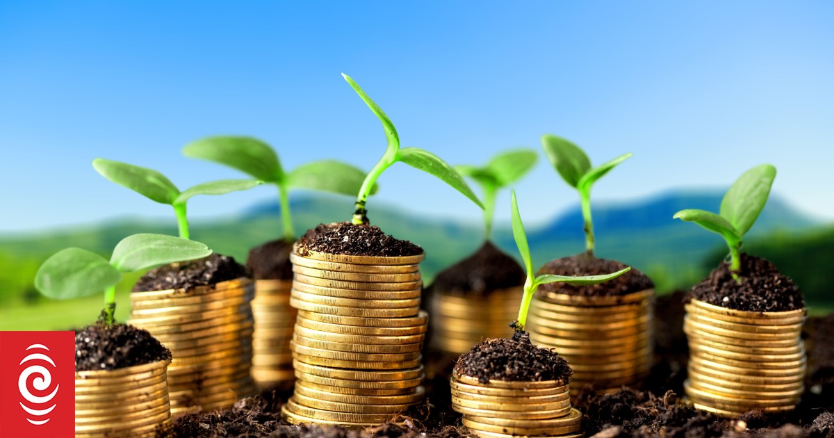 Business news with Madison Reidy | RNZ