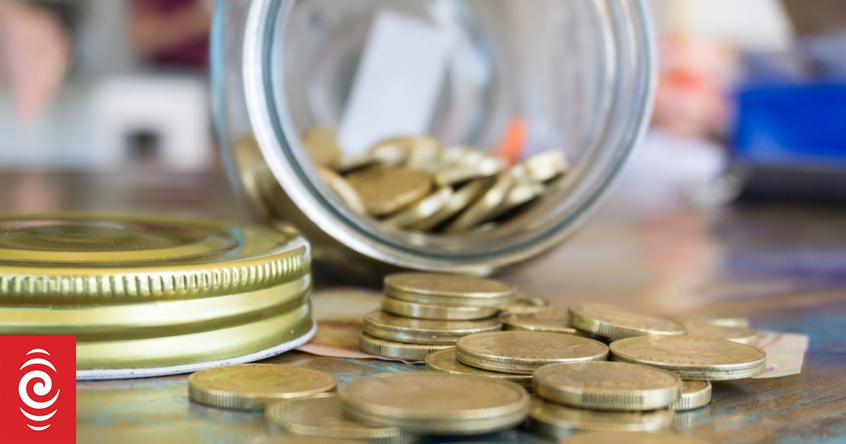 Bizbyte - What is the hidden economy? | RNZ