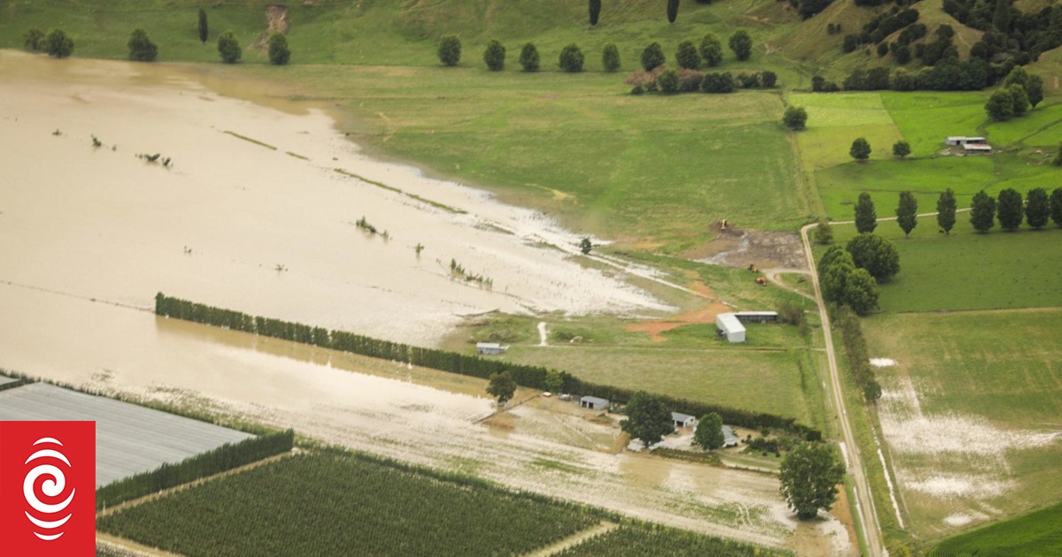 Cyclone Gabrielle: How is agriculture holding up? | RNZ