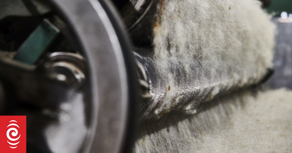 Wool clip prices continue to rise | RNZ News