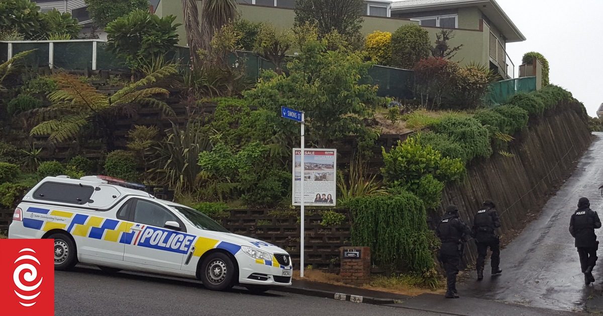 Police hunt armed man after AOS call-out | RNZ News