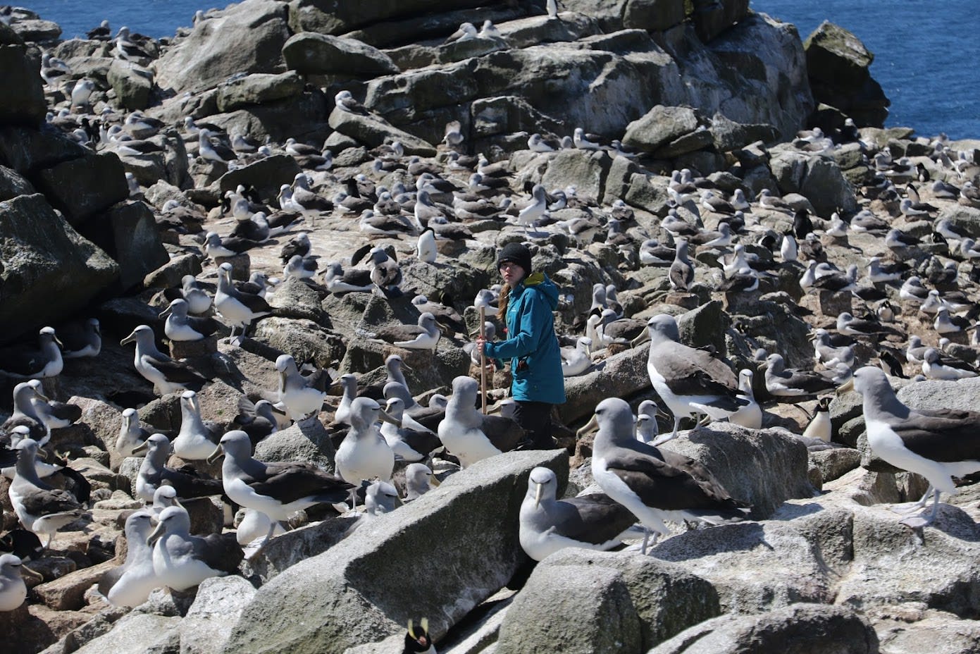 Nine To Noon for Tuesday 14 March 2023 Nine To Noon | RNZ