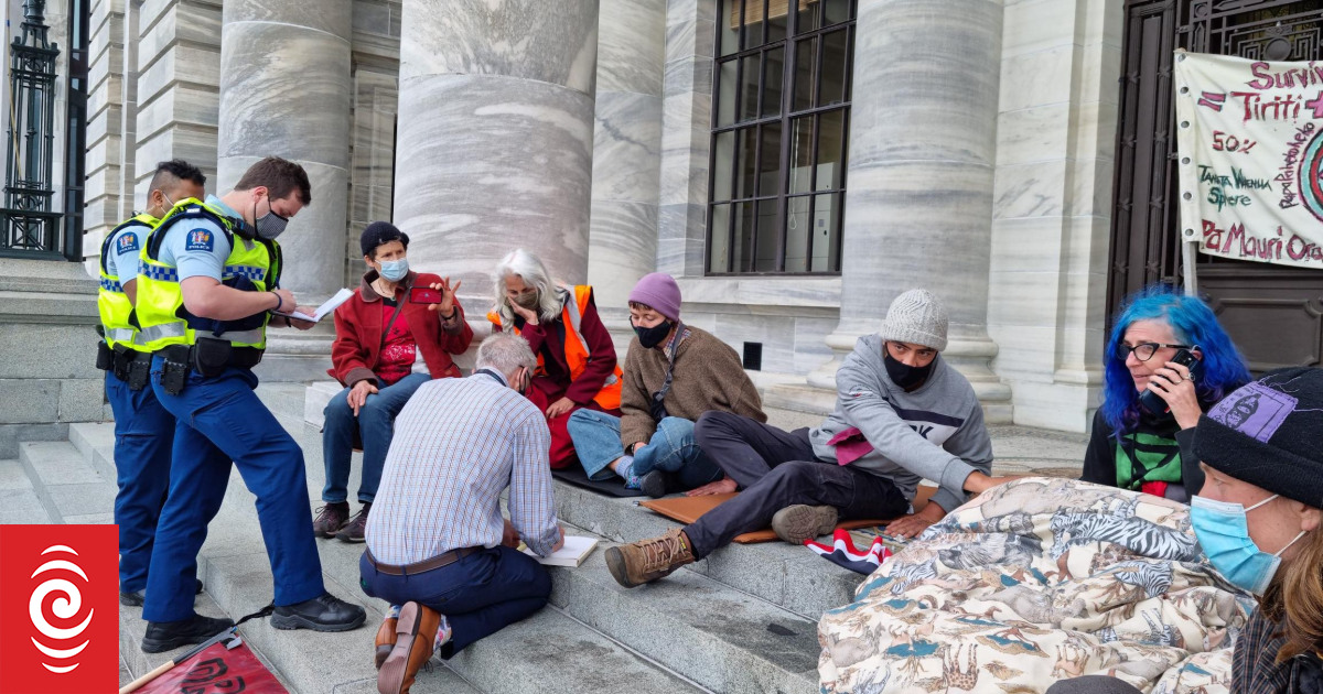 Climate change protesters glue hands to Parliament steps | RNZ News