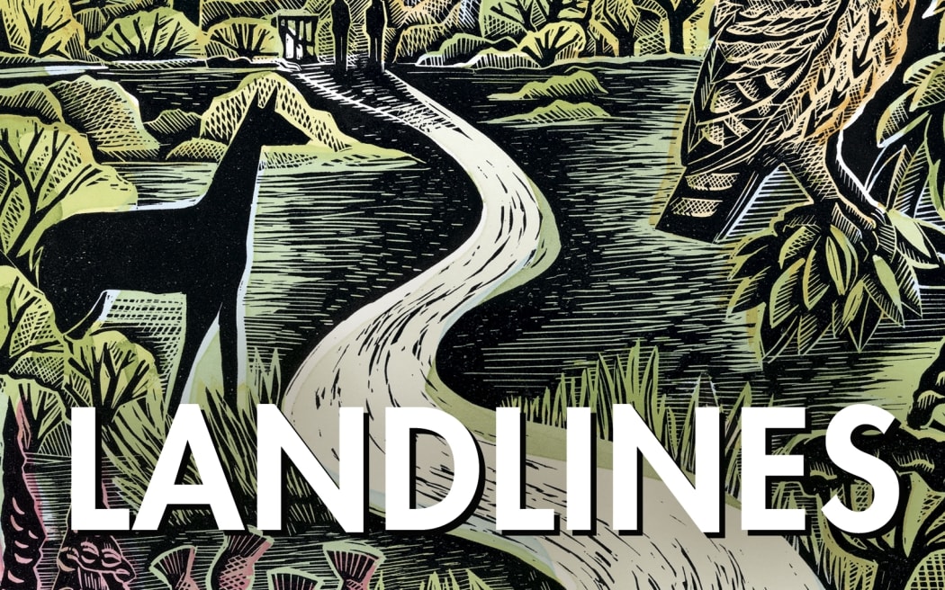 Book review: Landlines by Raynor Winn | RNZ