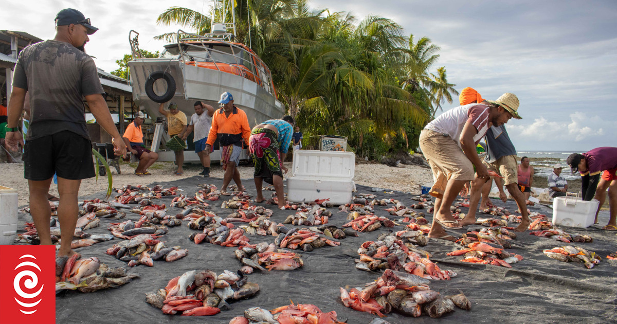 Tokelauan Fishing Quest: sharing adventure, food and tradition | RNZ News