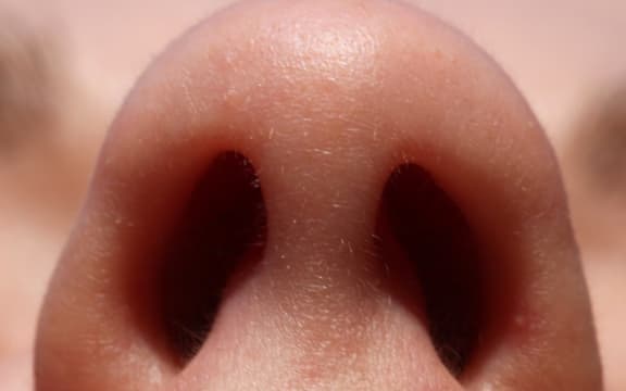 James St John: picking your nose may increase risk for Alzheimer’s and ...