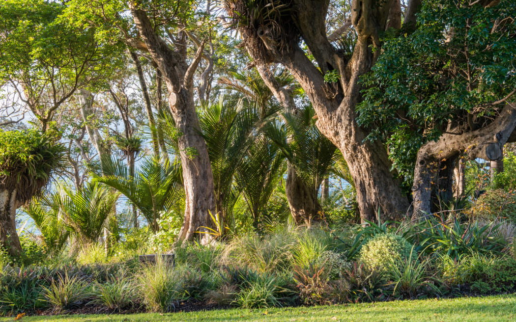 The splendour of NZ gardens | RNZ