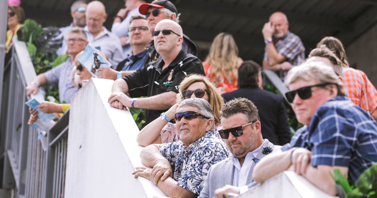 Crowds return to Addington Raceway for New Zealand Trotting Cup | RNZ News