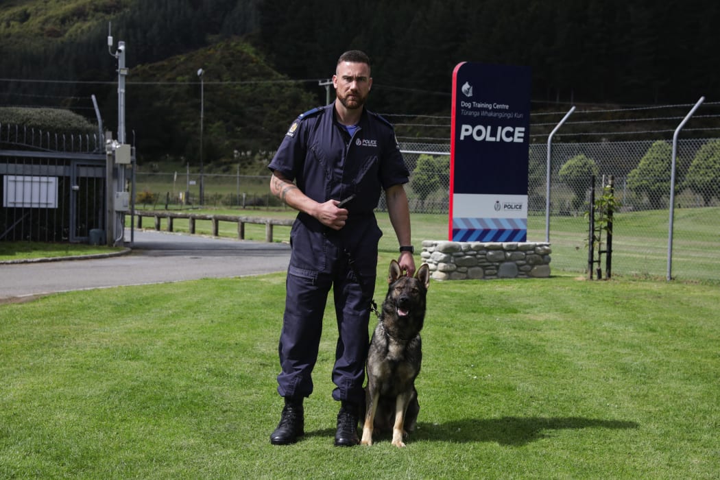 New police dogs take the lead out on NZ streets | RNZ News