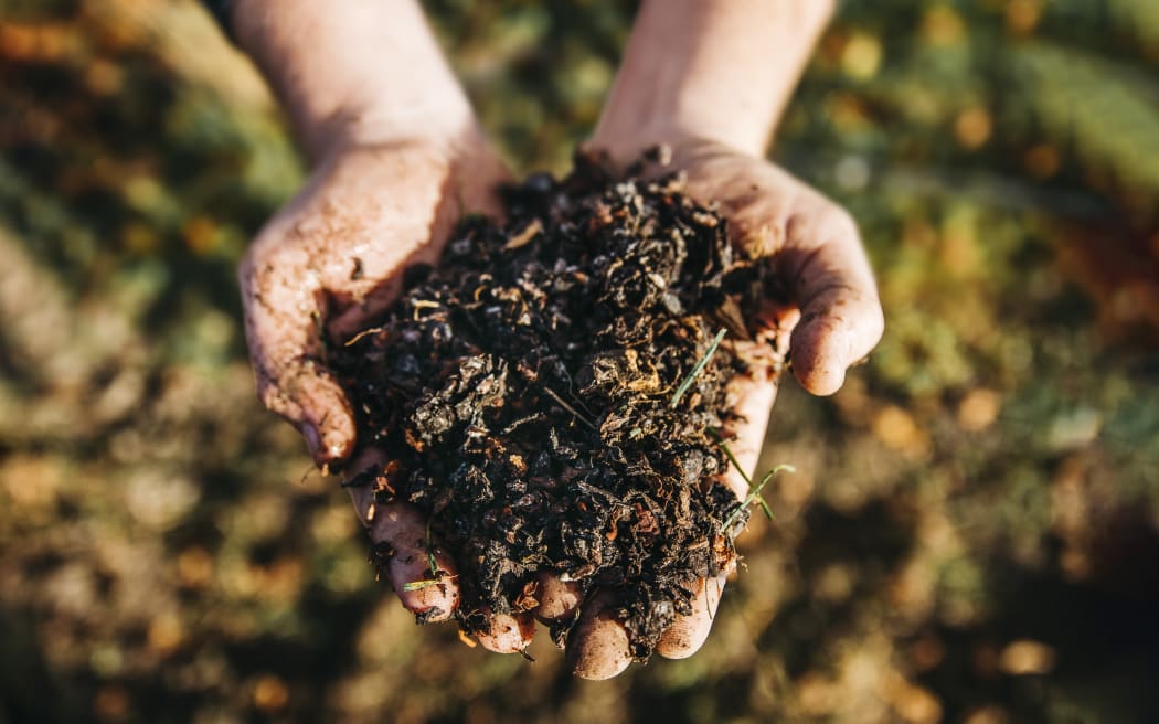 The environmental hangover from NZ's winemaking | RNZ News