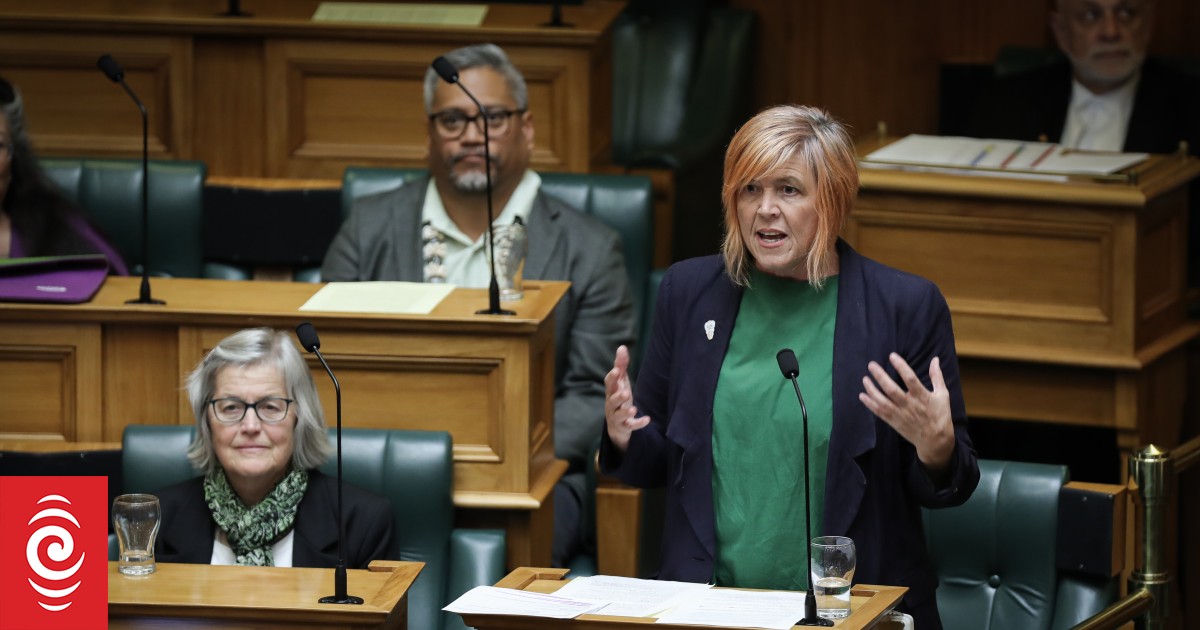 Green MP Jan Logie will not stand for re-election in 2023 | RNZ News
