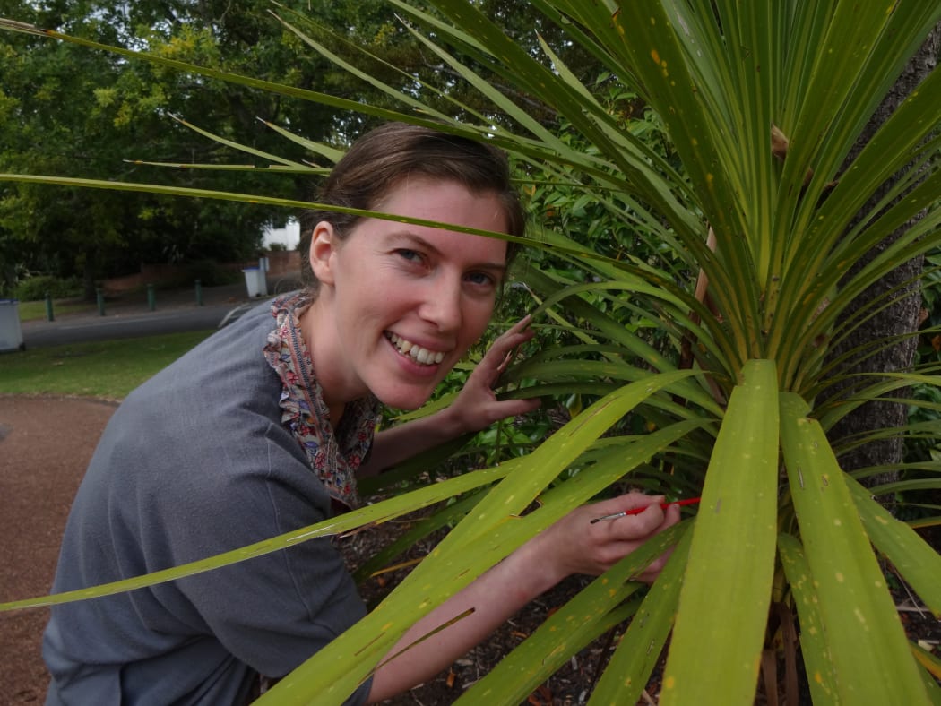 Spider Chatter on the Web | RNZ