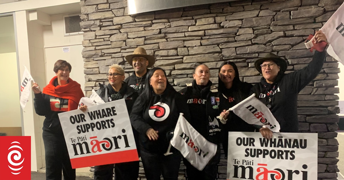 Te Pāti Māori says they will push for capital gains tax at party launch ...