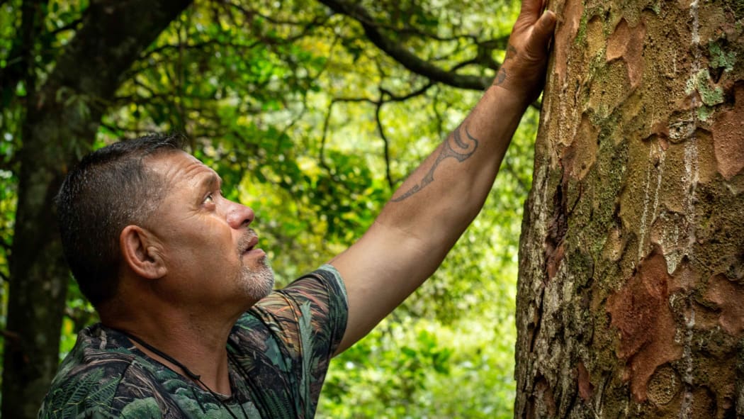 Loading Docs 2020: Te Wao Nui | RNZ