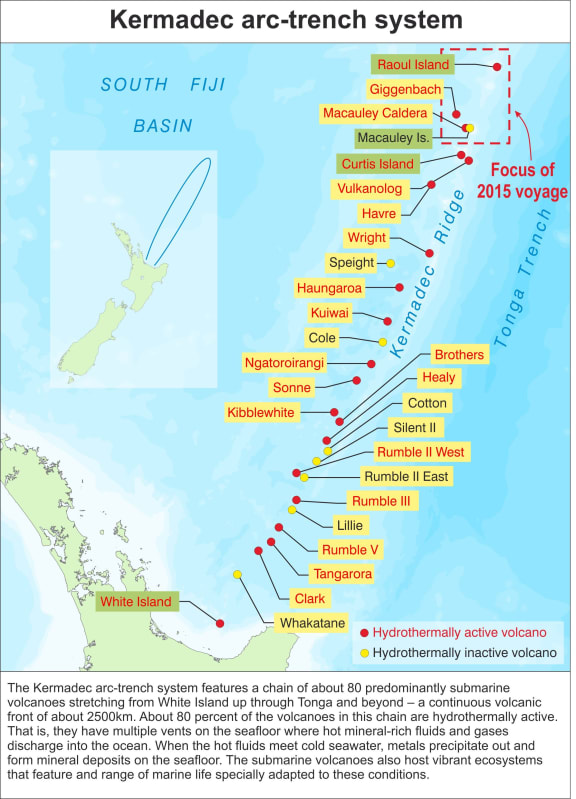 Scientists zero in on submarine volcanoes | RNZ News