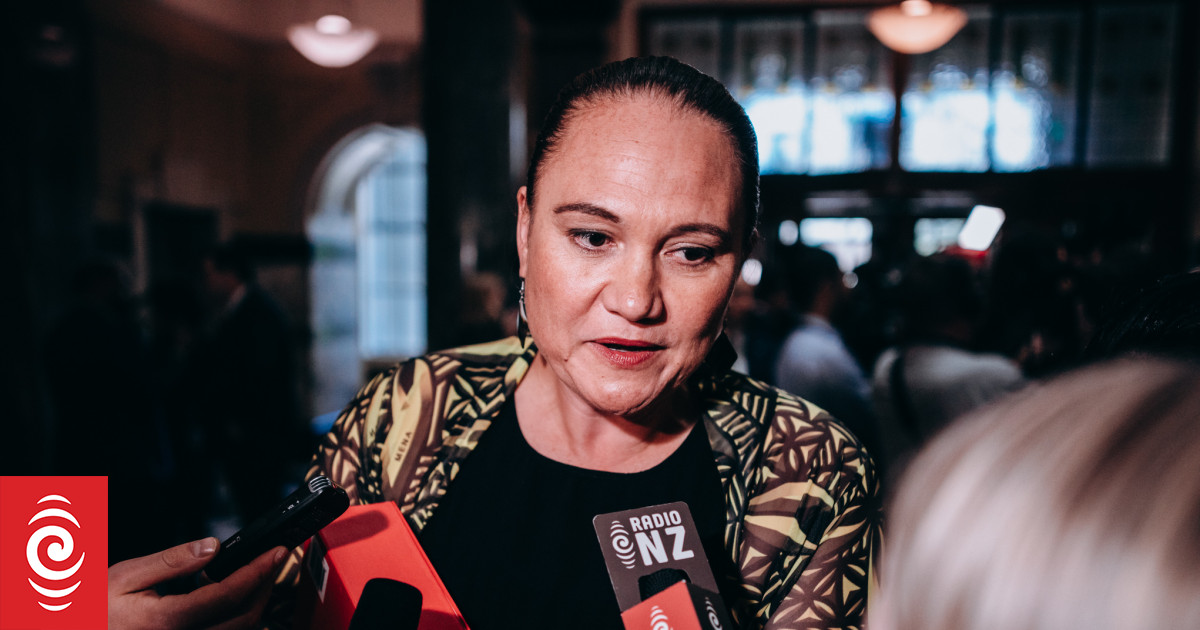 Social Development Minister discusses Covid-19 financial help | RNZ