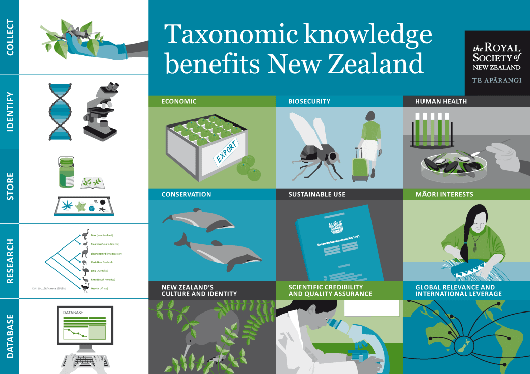 The importance of taxonomy and biological collections | RNZ