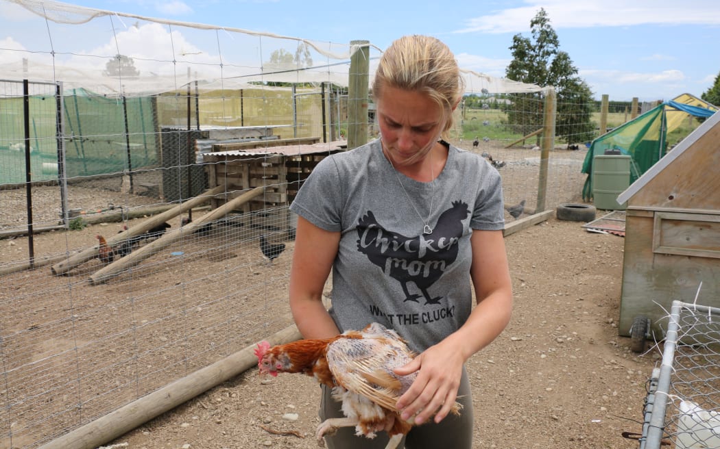 Chook rescuers seek happy homes for hens | RNZ
