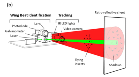Laser strike: controlling insects using lasers | RNZ