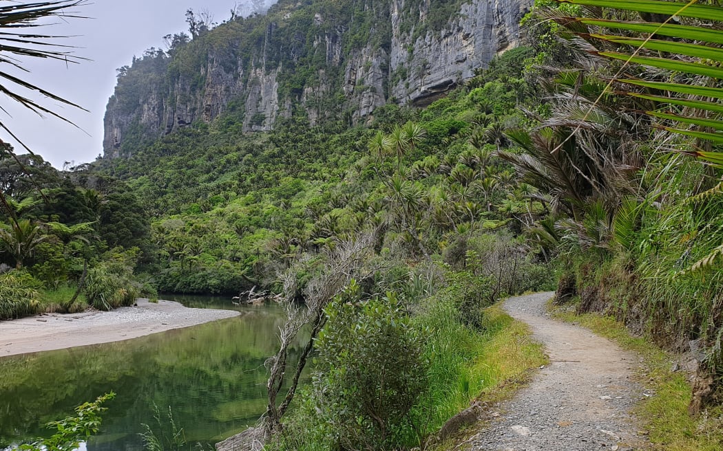 Memorial museum planned to enhance Paparoa Track experience | RNZ News