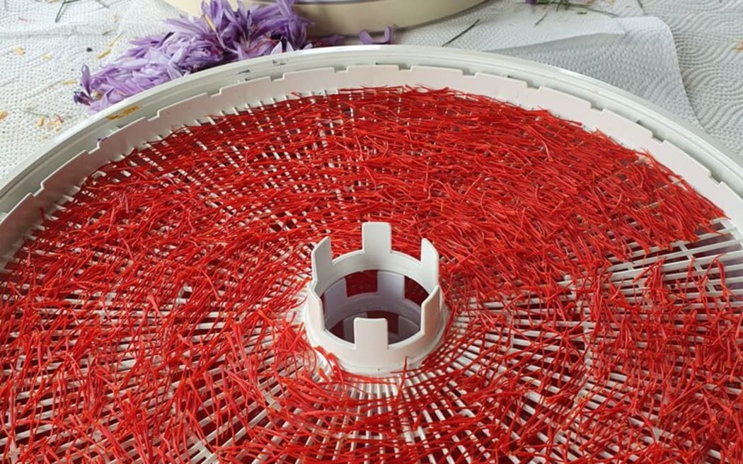 Saffron grower says industry growth necessary to meet consumer demand ...