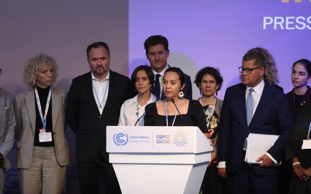 The agony and the ecstasy: Pacific reflections on COP27 | RNZ News