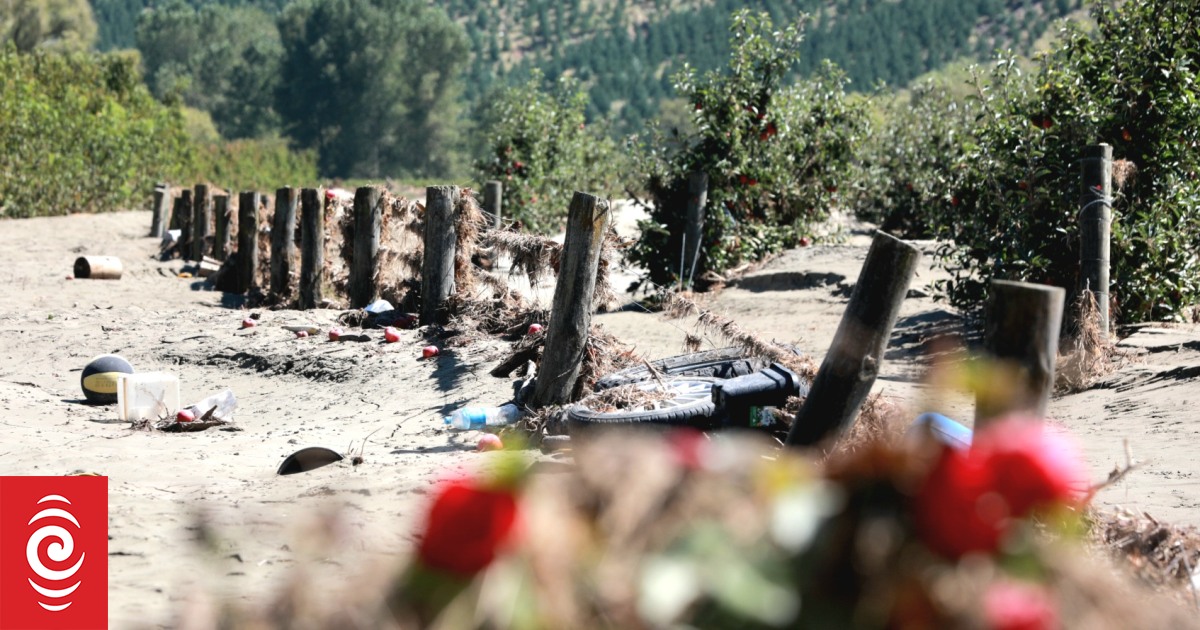 Cyclone Gabrielle: UNICEF warns of post-flood trauma in children | RNZ