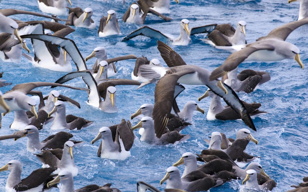 Nights with Karyn Hay for Thursday 27 October 2022 Nights with Karyn ...