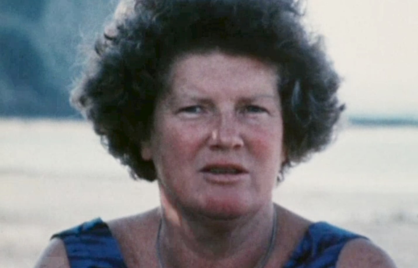 Gifted by Patrick Evans The Reading | RNZ